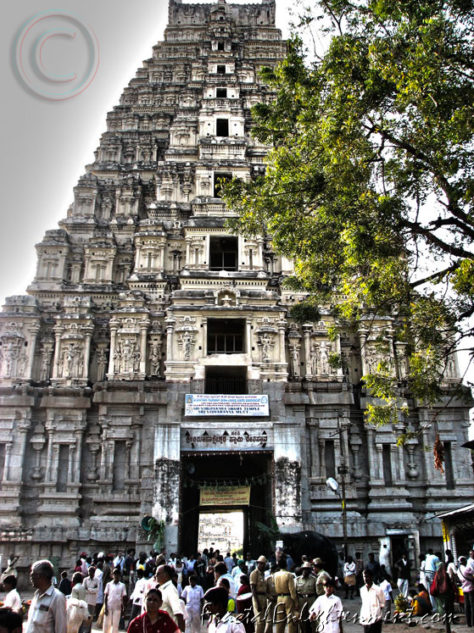The Fractal Structure of Hindu Temples