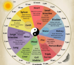 This is How the Chinese Body Clock Works ~ Fractal Enlightenment
